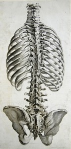 Favero Chiropractic, North Ogden - Chiropractor Care/Clinic UT