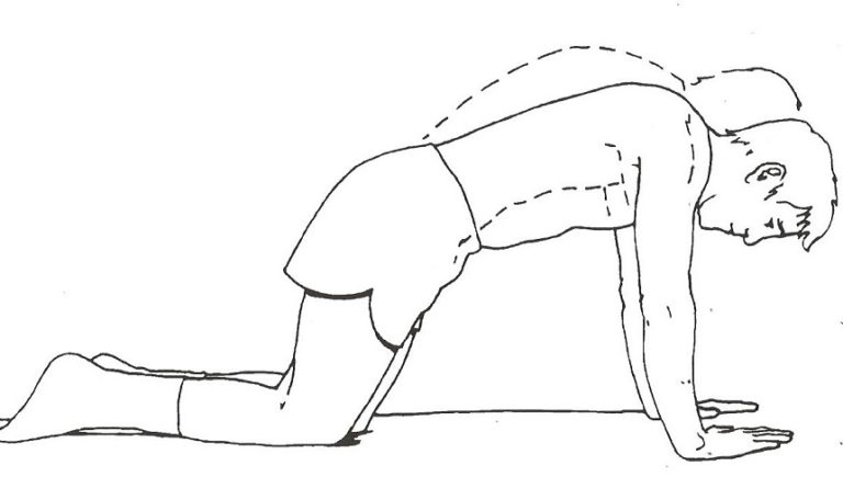 The Answer to "Bad" Posture (with exercises for the upper spine ...