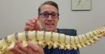Favero Chiropractic, North Ogden - Chiropractor Care/Clinic UT