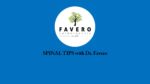 Favero Chiropractic, North Ogden - Chiropractor Care/Clinic UT